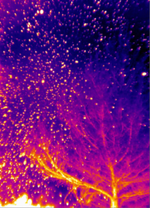 How wildfire spreads: An engineer’s perspective « Engineering Stories