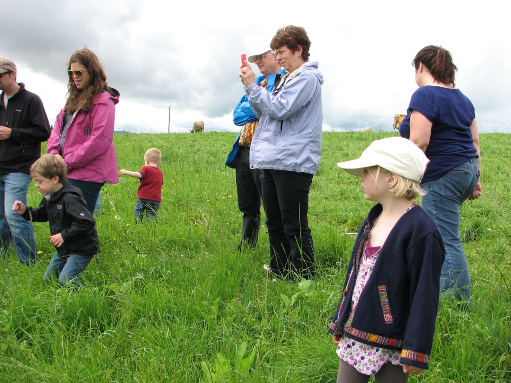 Meet the cows who make the cream: Organic Valley farm visit | Oregon ...