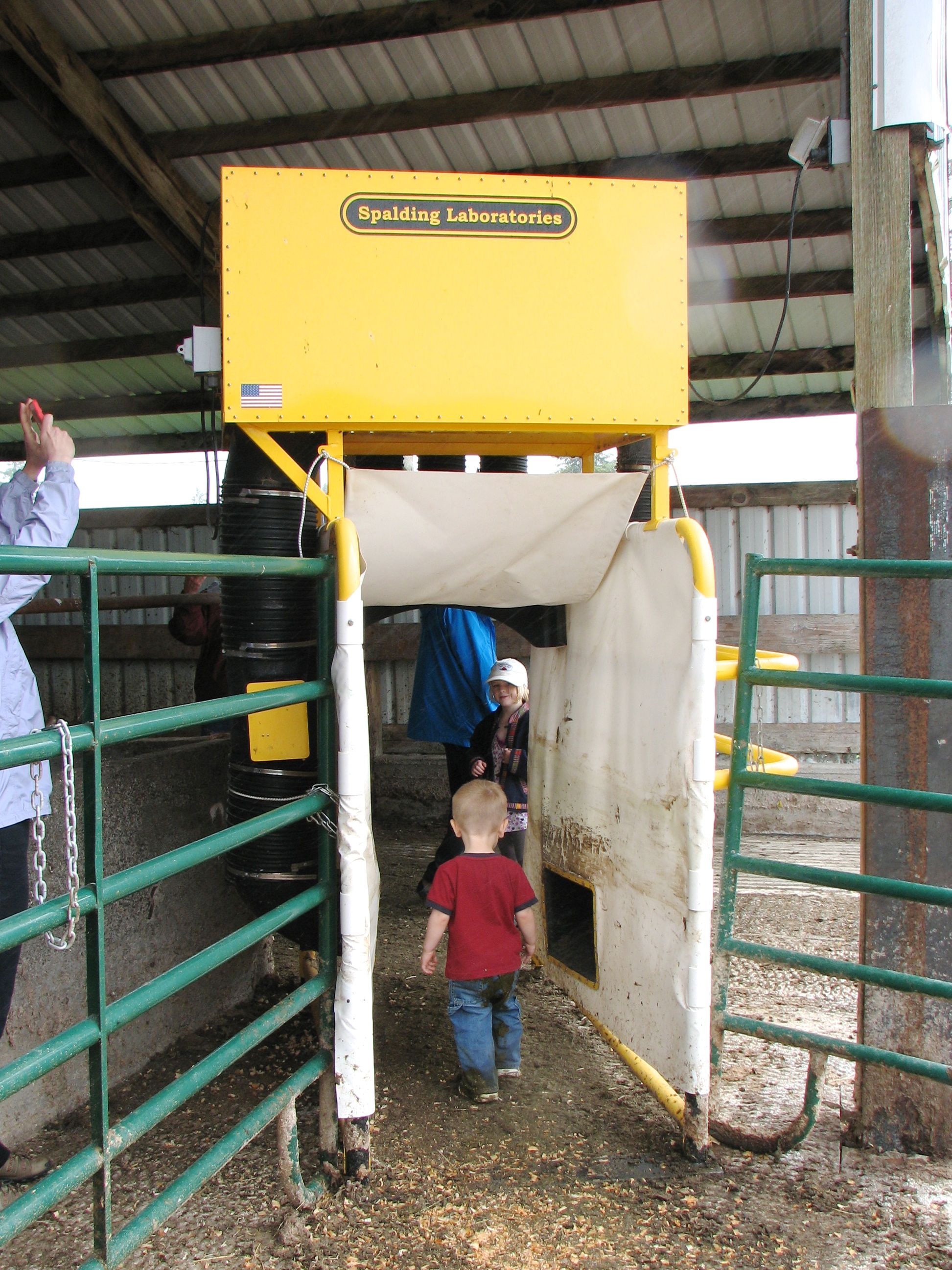 Meet the cows who make the cream: Organic Valley farm visit | Oregon ...