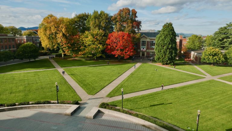 Apply Now for the Fall 2020 Blended Faculty Learning Community | OSU ...