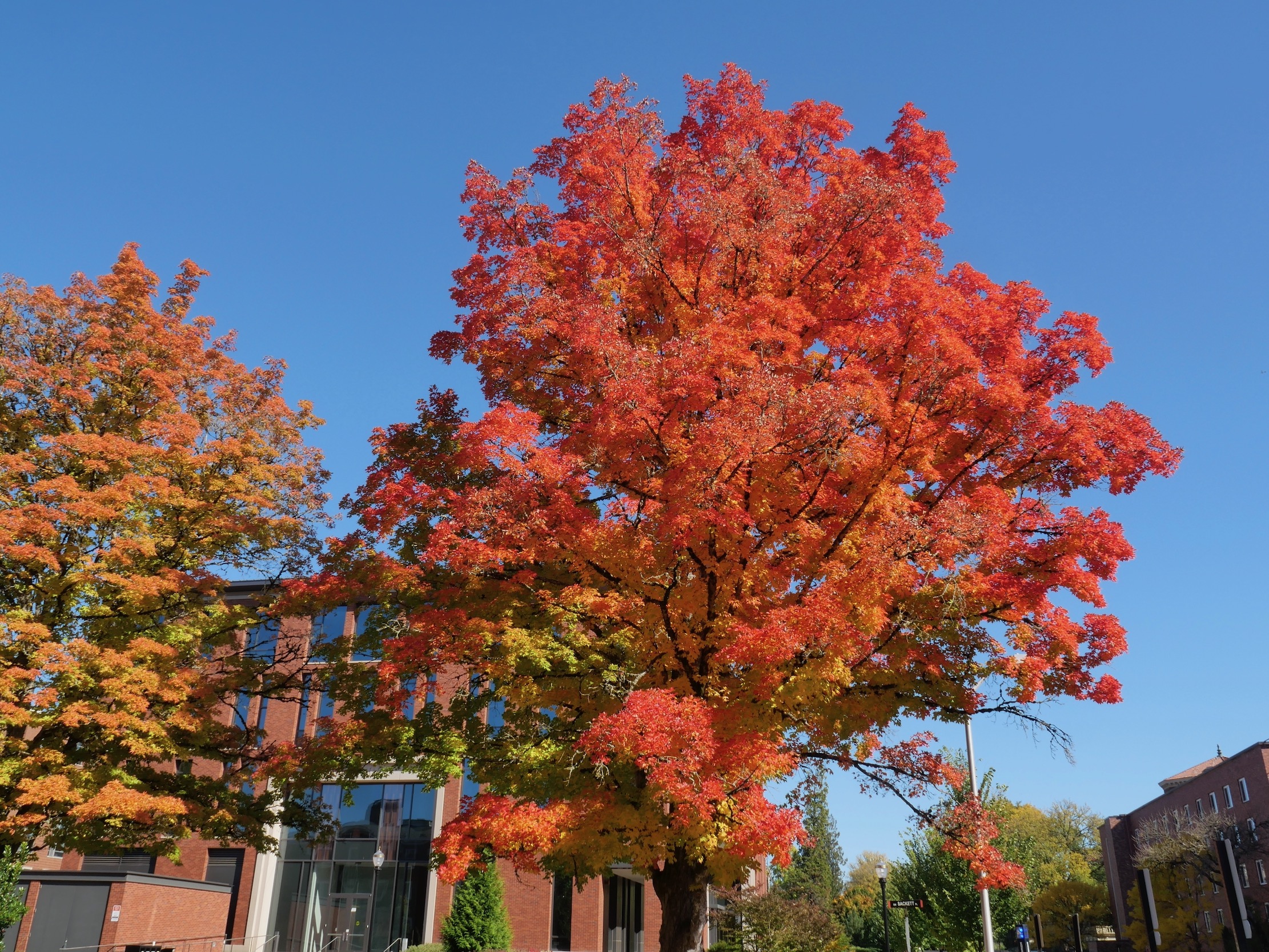 P1012053 | OSU Center for Teaching and Learning