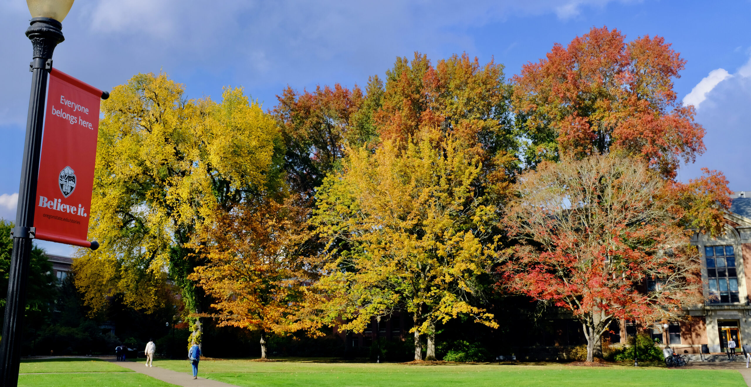 Autumn leaves and learning: Upcoming events – OSU Center for Teaching ...