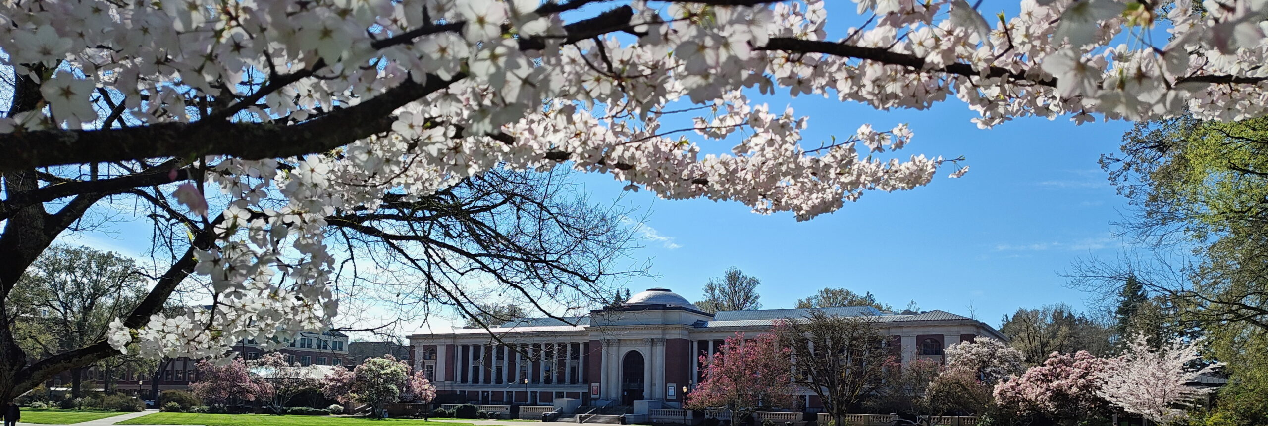 Join CTL’s Spring ’25 Global Learning Book Club – OSU Center for ...