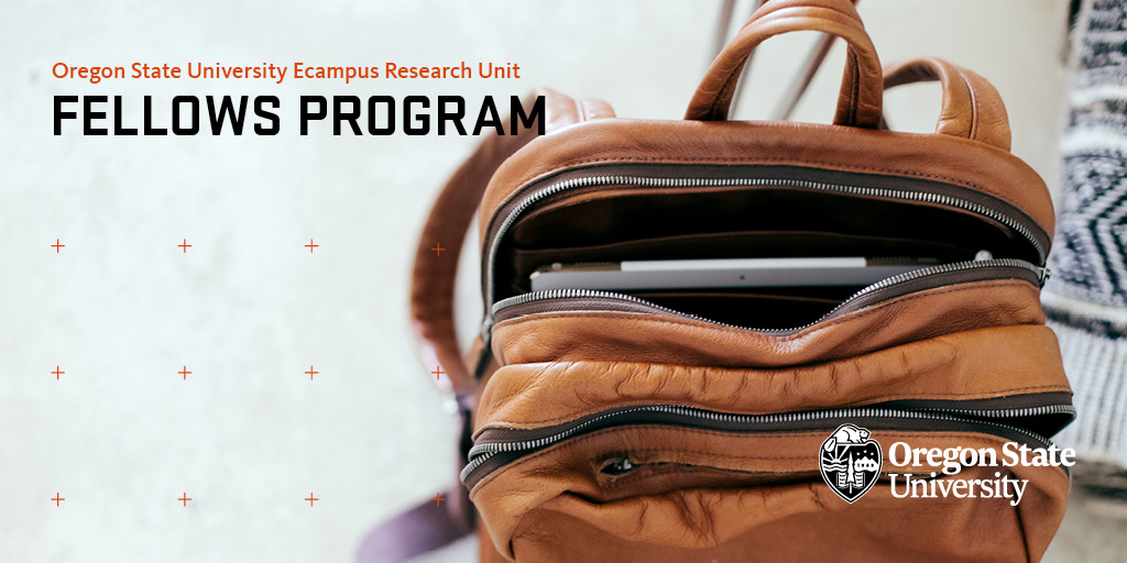 Apply now for the Ecampus Research Fellows Program – OSU Center for Teaching and Learning