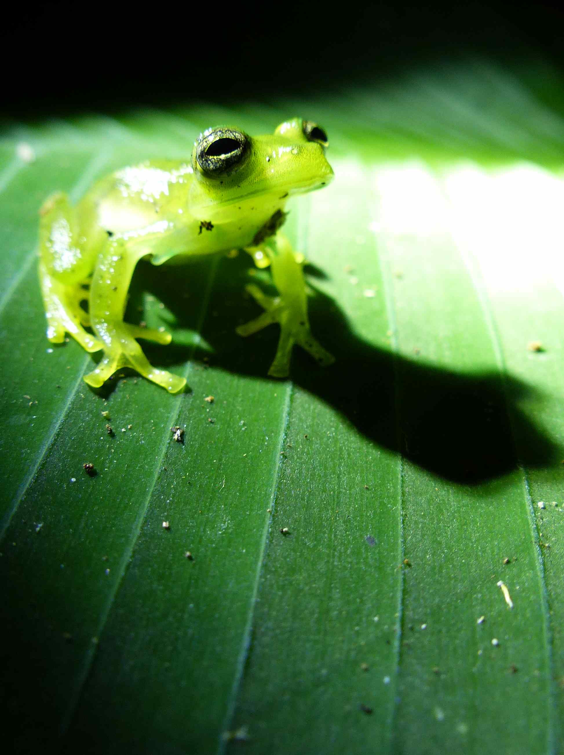 February | 2014 | Oregon State University Hummingbird Research