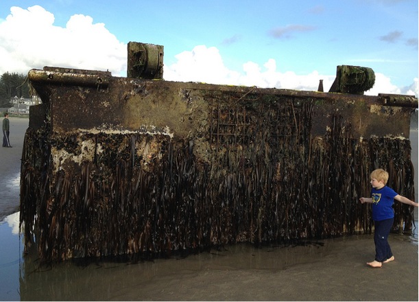 Teaching Tsunamis and Invasive Species | Watershed and Invasive Species ...