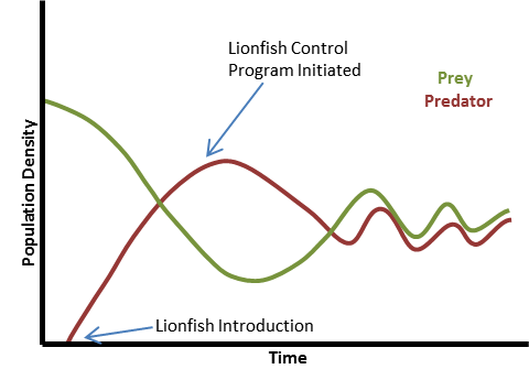 The Lionfish’s Roaring Impacts on Ocean Fish Populations; Research and ...