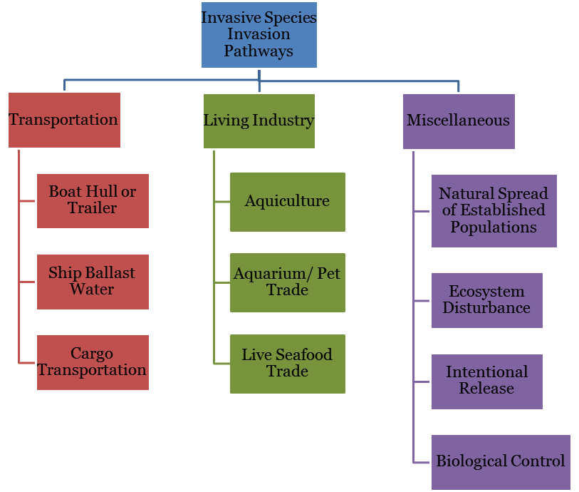 Keep the Mussels Out | Watershed and Invasive Species Education (WISE ...