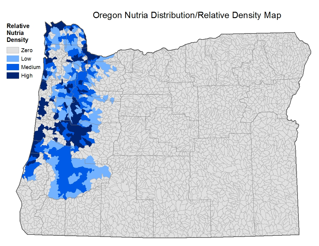 Interview with Trevor Sheffels: The Nutria Expert | Watershed and ...