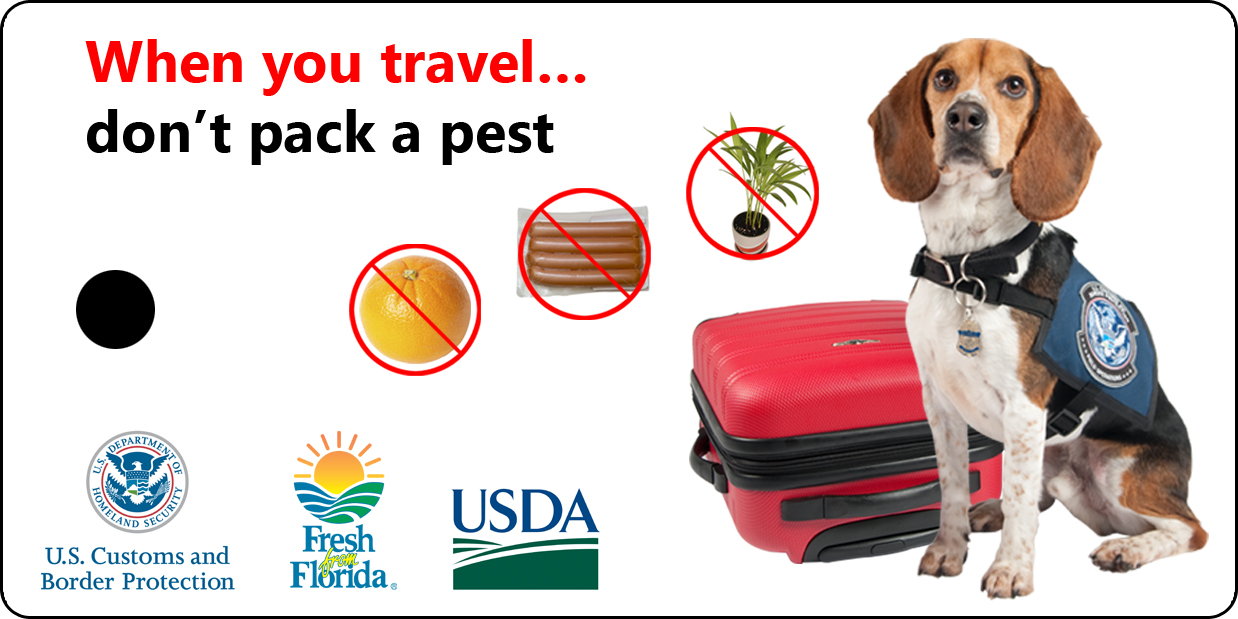 The “Don’t Pack a Pest!” Campaign: Outreach to all International ...
