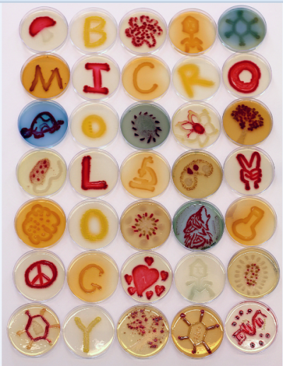 Agar Art | Protein Portraits