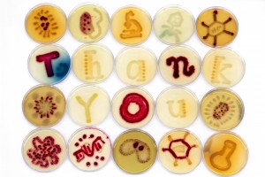 Agar Art | Protein Portraits