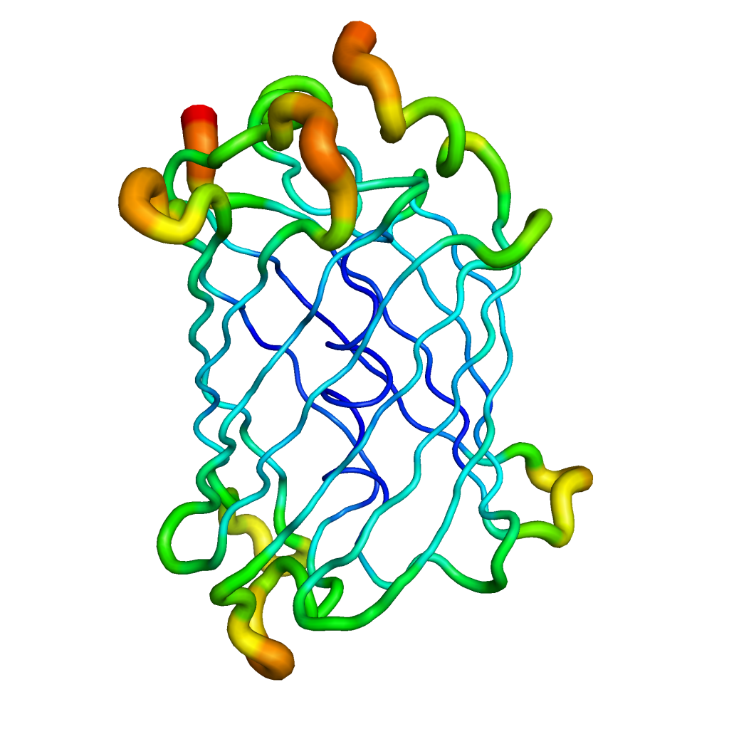 GFP Model Progress | Protein Portraits