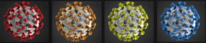 Paper protein models? | Protein Portraits