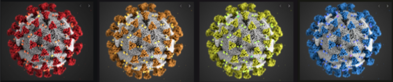 Paper protein models? | Protein Portraits