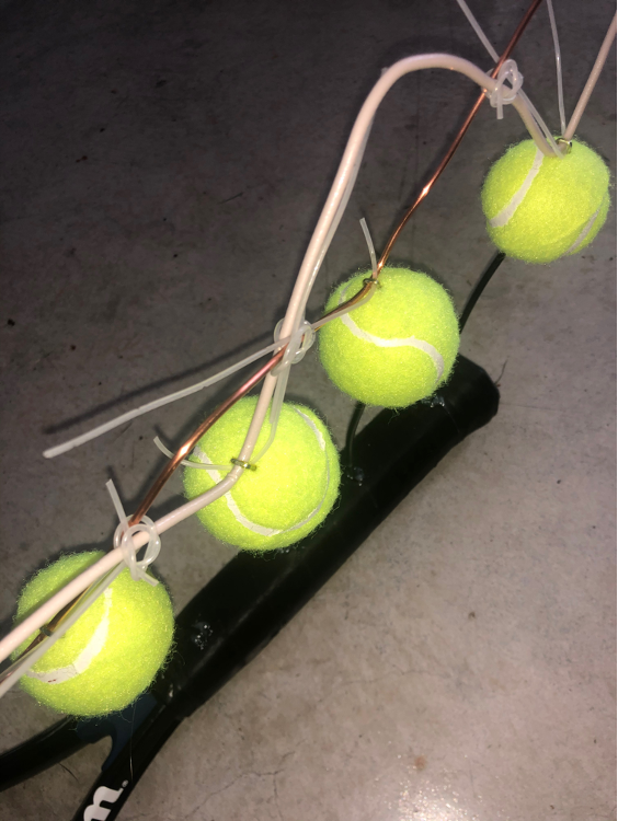 Protein Portraits Show 2021 | Protein Portraits