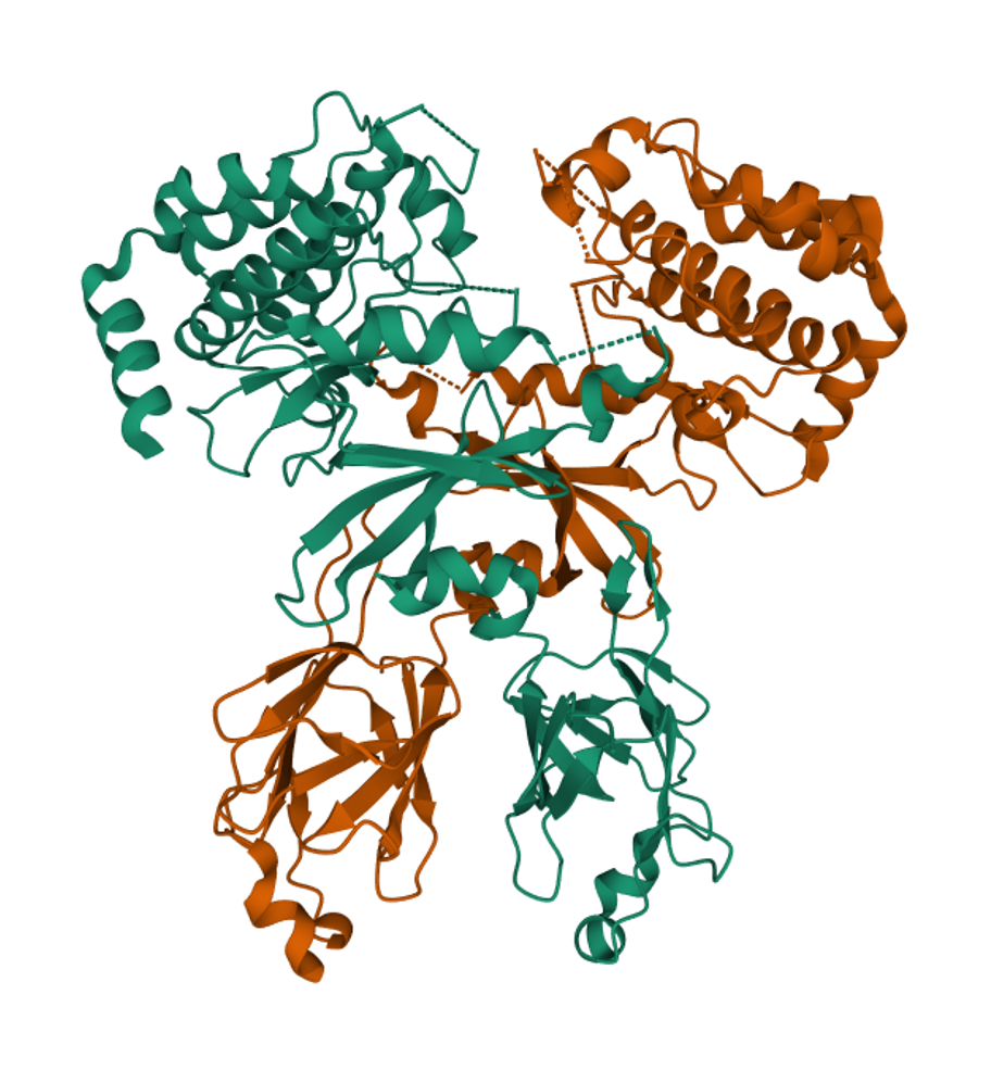 Protein Portraits Show 2021 | Protein Portraits