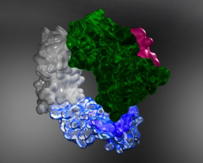 Molecular Maya Toolkit – a powerful visualization add-on for Autodesk ...