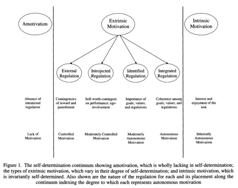 Self-Determination Theory and Online Education: Types of Motivation ...