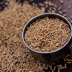 The Low Carb Conundrum: What Does Research Say?