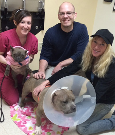 June 2015 - Animal Connection