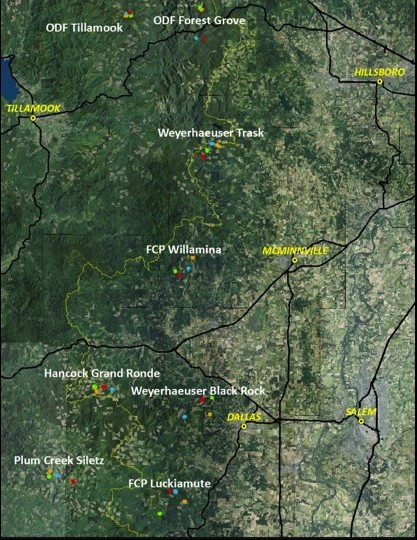 Study Design | Intensive Forest Management and Biodiversity