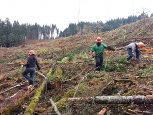 Logging pic « College of Forestry Field School