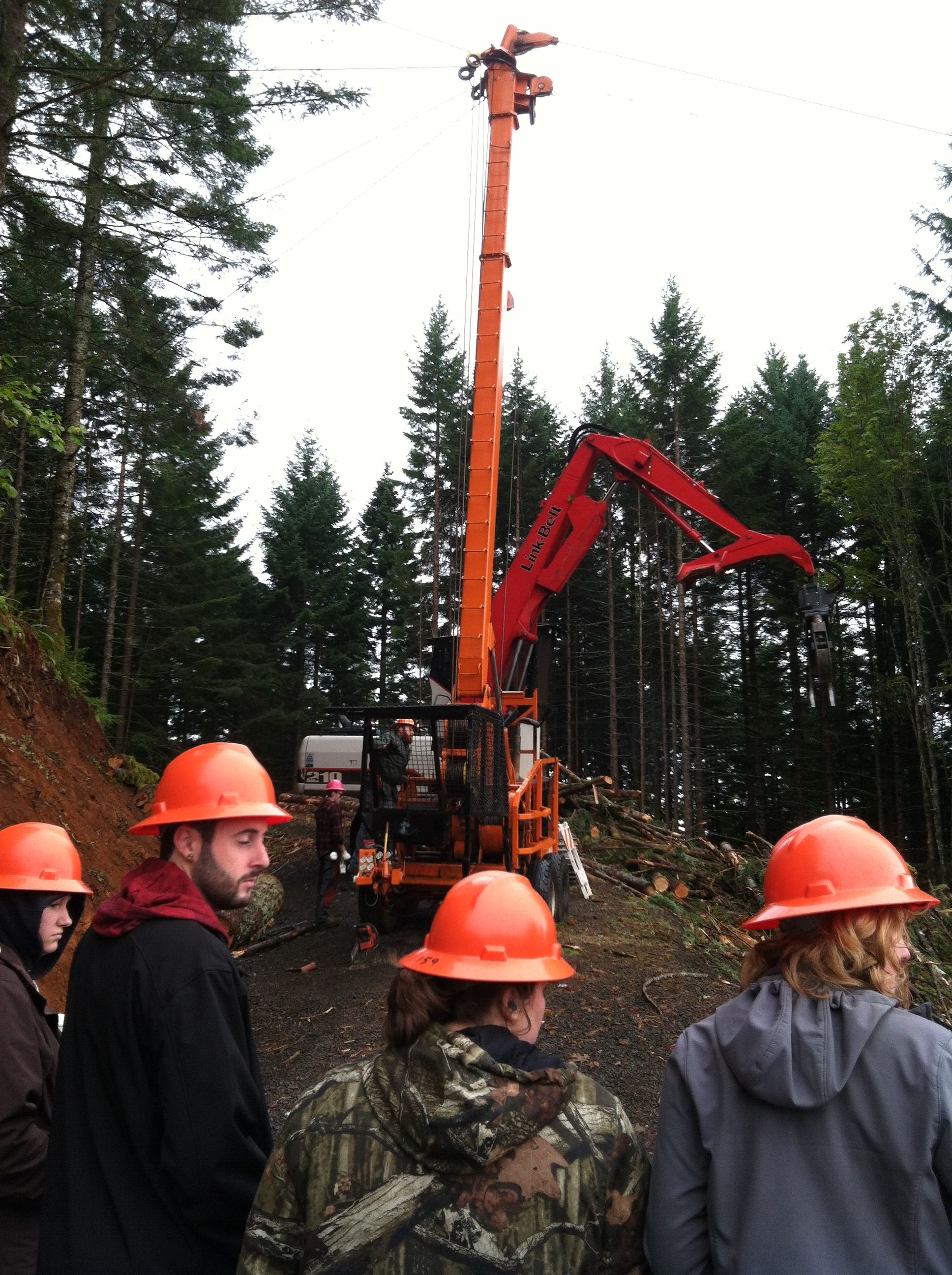 Saturday and we get to go logging! « College of Forestry Field School