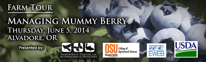 Managing Mummy Berry Disease in Blueberries Farm Tour | OSU Mummy Berry ...