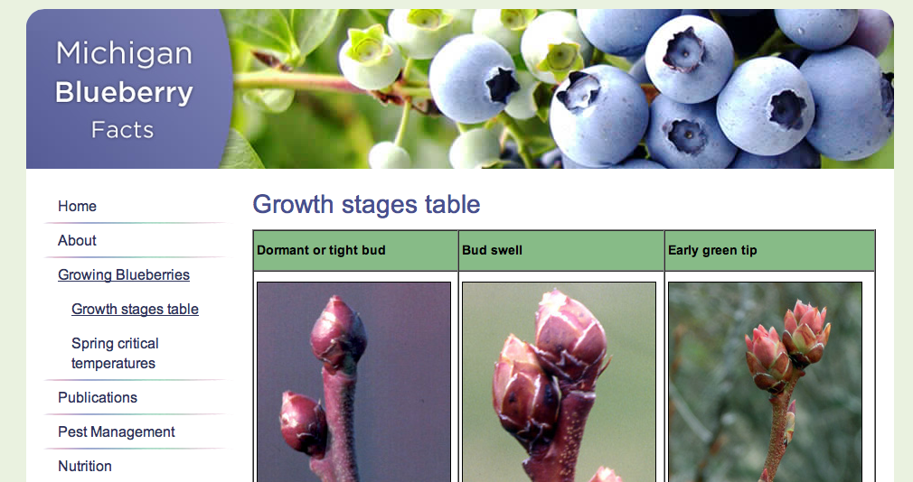 OSU Mummy Berry Blog