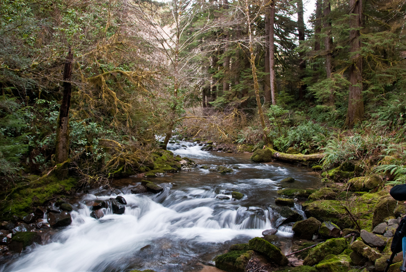 Geography Awareness Week focuses on freshwater | Breaking Waves