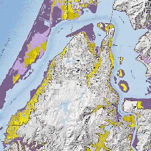 State rolls out new tsunami hazard maps - Breaking WavesBreaking Waves