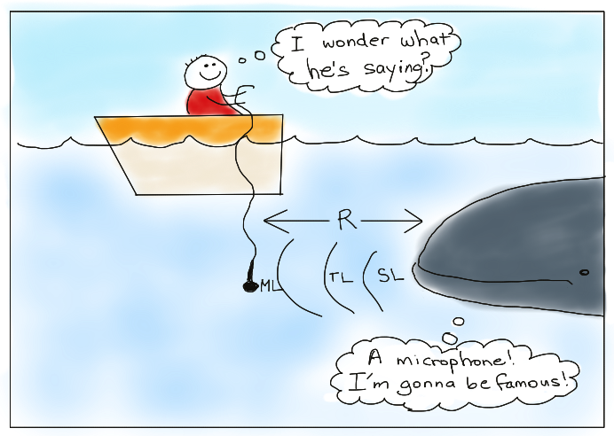 SL_sketch1 « Animal Bioacoustics