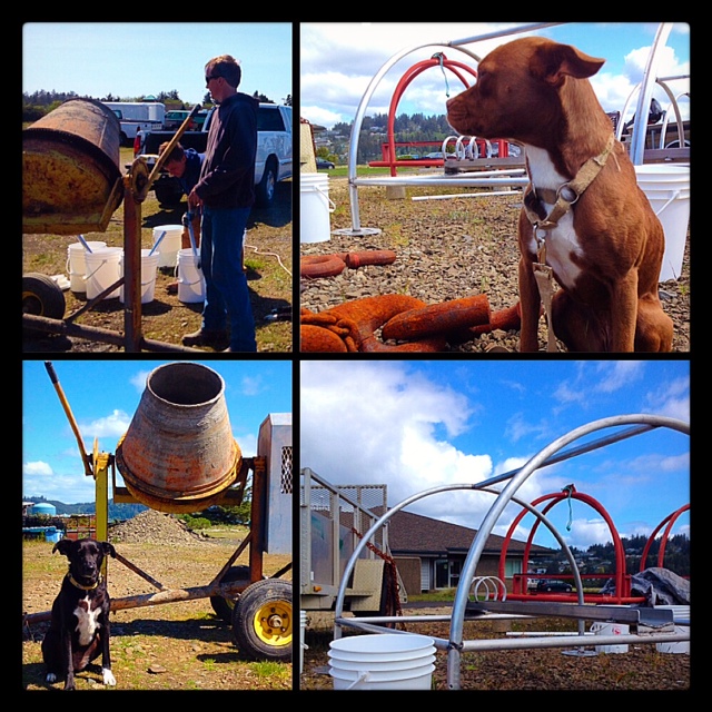 photo-3 « Animal Bioacoustics