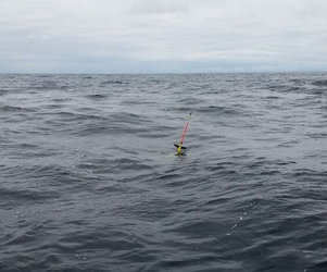 surface example « Animal Bioacoustics