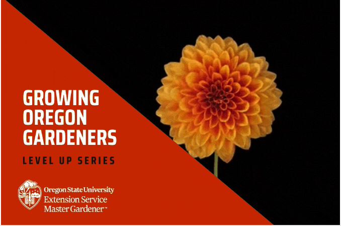 2021 Master Gardener Webinar Series « Brooke Edmunds