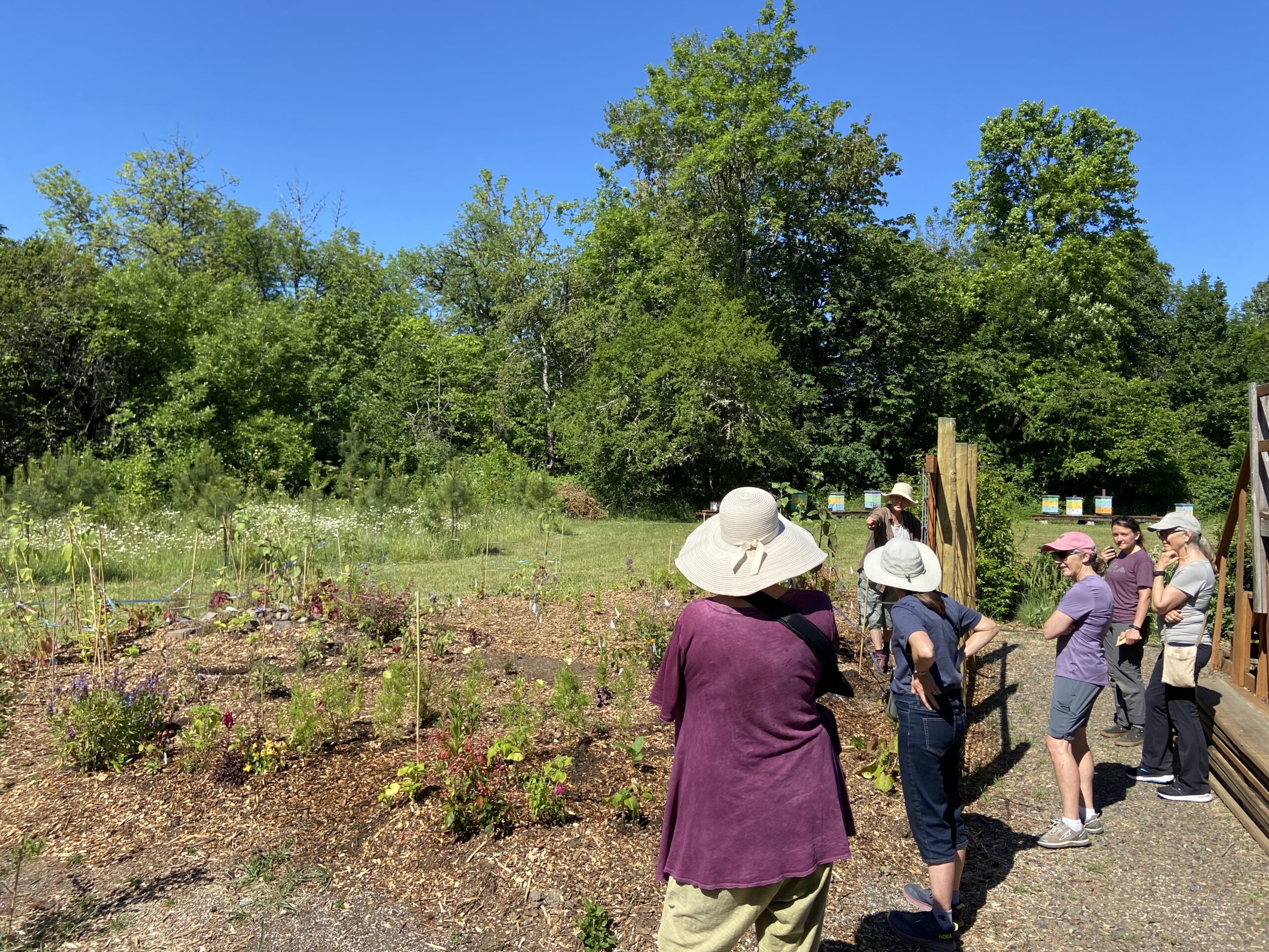 Brooke Edmunds « Horticulture updates from Oregon State University ...