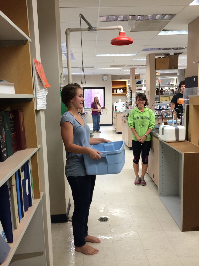 Half-Life « Biochemistry & Biophysics in the News