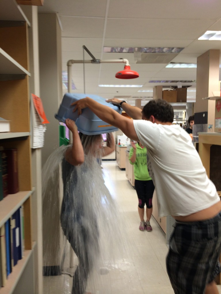 Half-Life « Biochemistry & Biophysics in the News