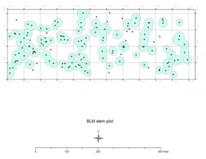 Tree Spatial Patterns in Forests Part I: What they are and why they are ...