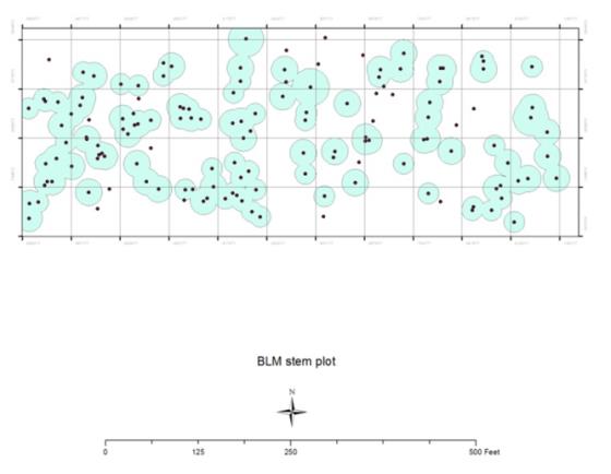 Tree Spatial Patterns in Forests Part I: What they are and why they are ...