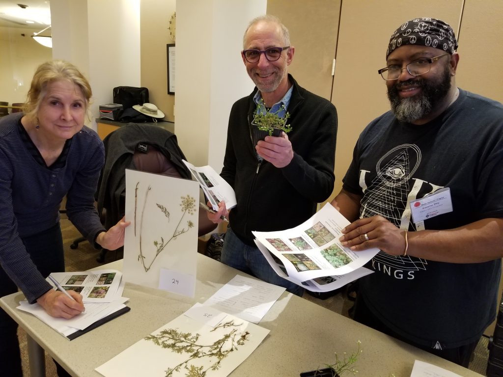 2019 Weed ID class « OSU Extension Service Metro-area Master Gardener ...