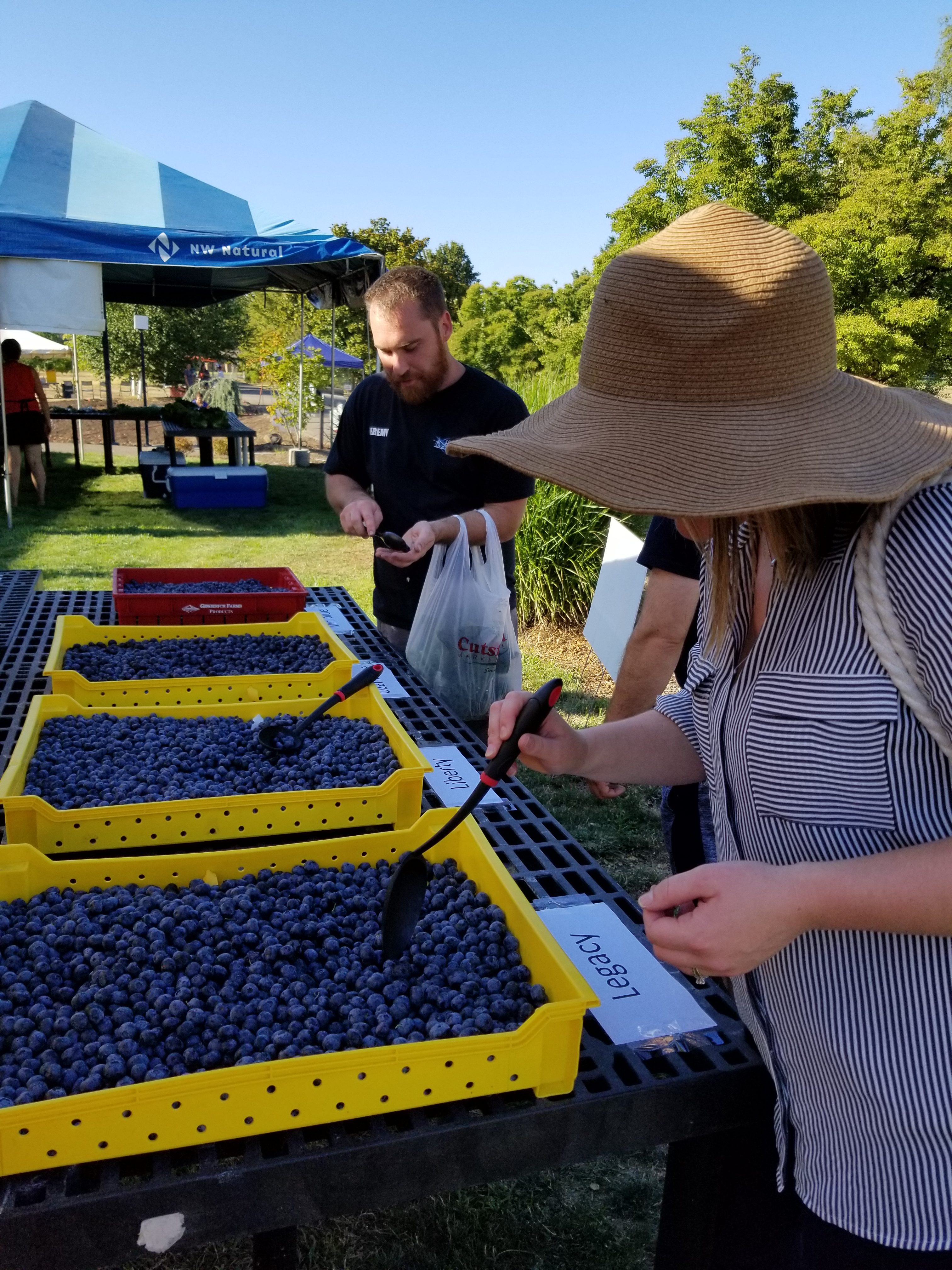 NWREC Open House Blueberry Tasting 2019 « OSU Extension Service Metro ...