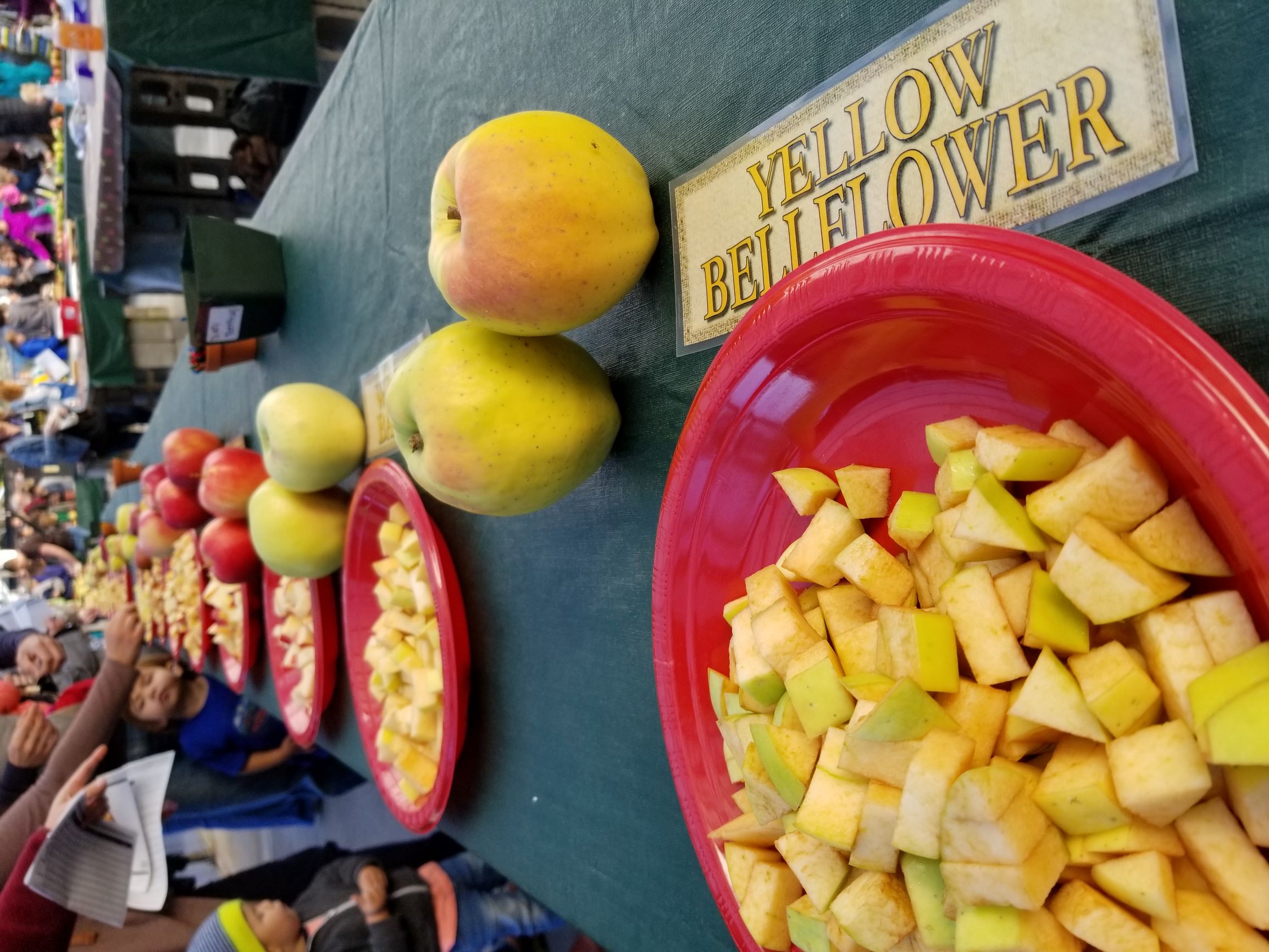 Apple-Tasting-resize-L « OSU Extension Service Metro-area Master ...