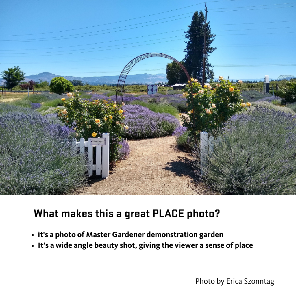 Demonstration-Garden-example « OSU Extension Service Metro-area Master ...