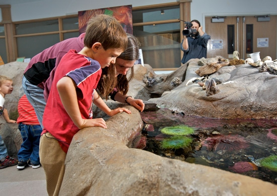 Photo of the Week – The Touch Tanks | What's Past is Prologue – HMSC ...