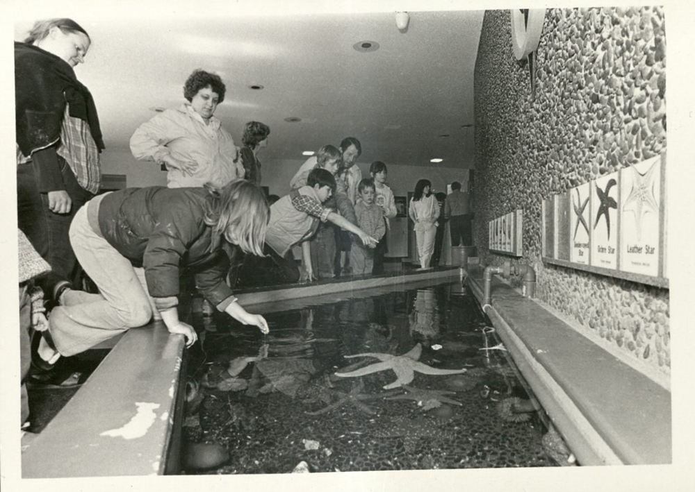 Photo of the Week – The Touch Tanks | What's Past is Prologue – HMSC ...