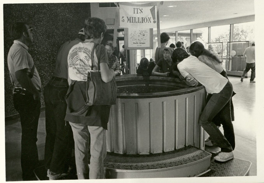 Photo of the Week – The Touch Tanks | What's Past is Prologue – HMSC ...