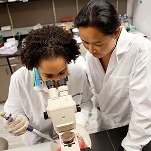 Inside the mind of researcher Emily Ho