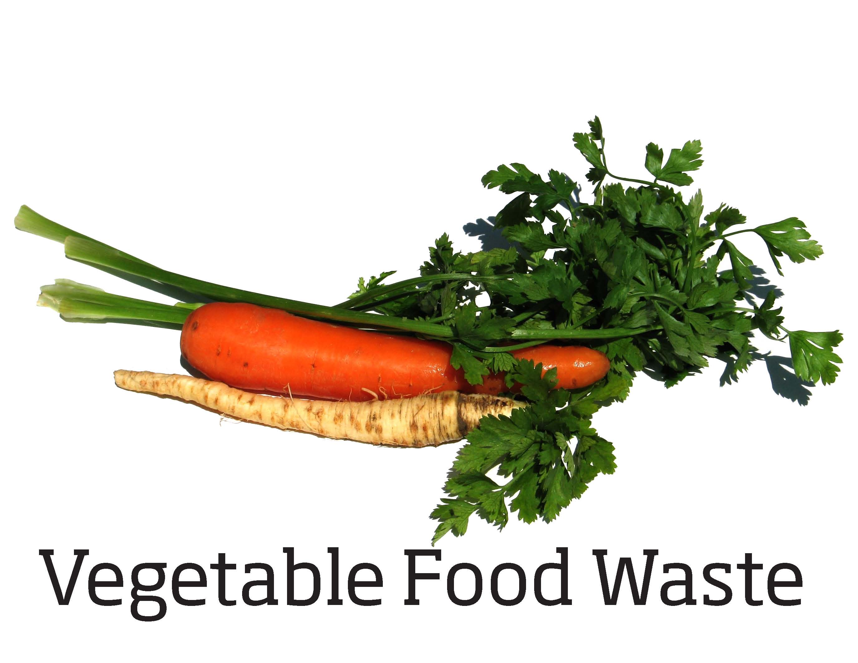 Vegetable Food Waste – Ecologue